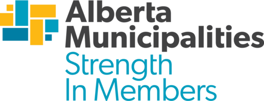 Risk Management Training for Municipalities and NFPs