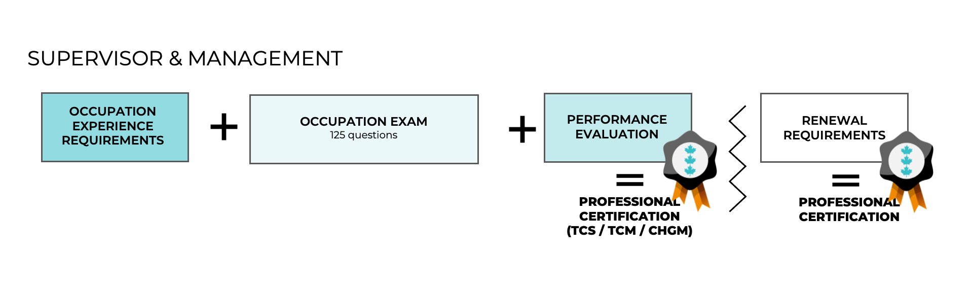 Professional Certification